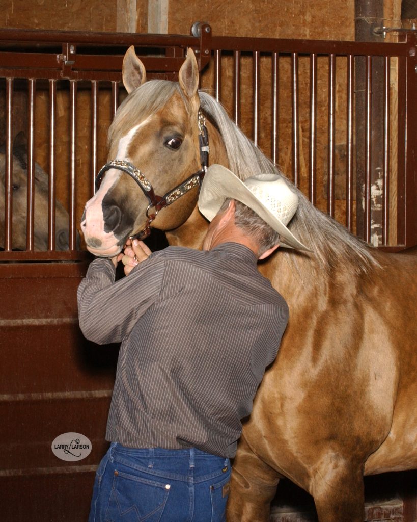 2024 Horse Roundup | Running With Legends: Frenchmans Guy Inducted into ...
