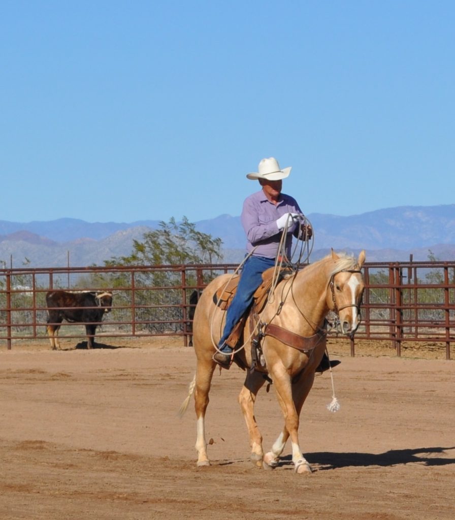 2024 Horse Roundup | Running With Legends: Frenchmans Guy Inducted into ...