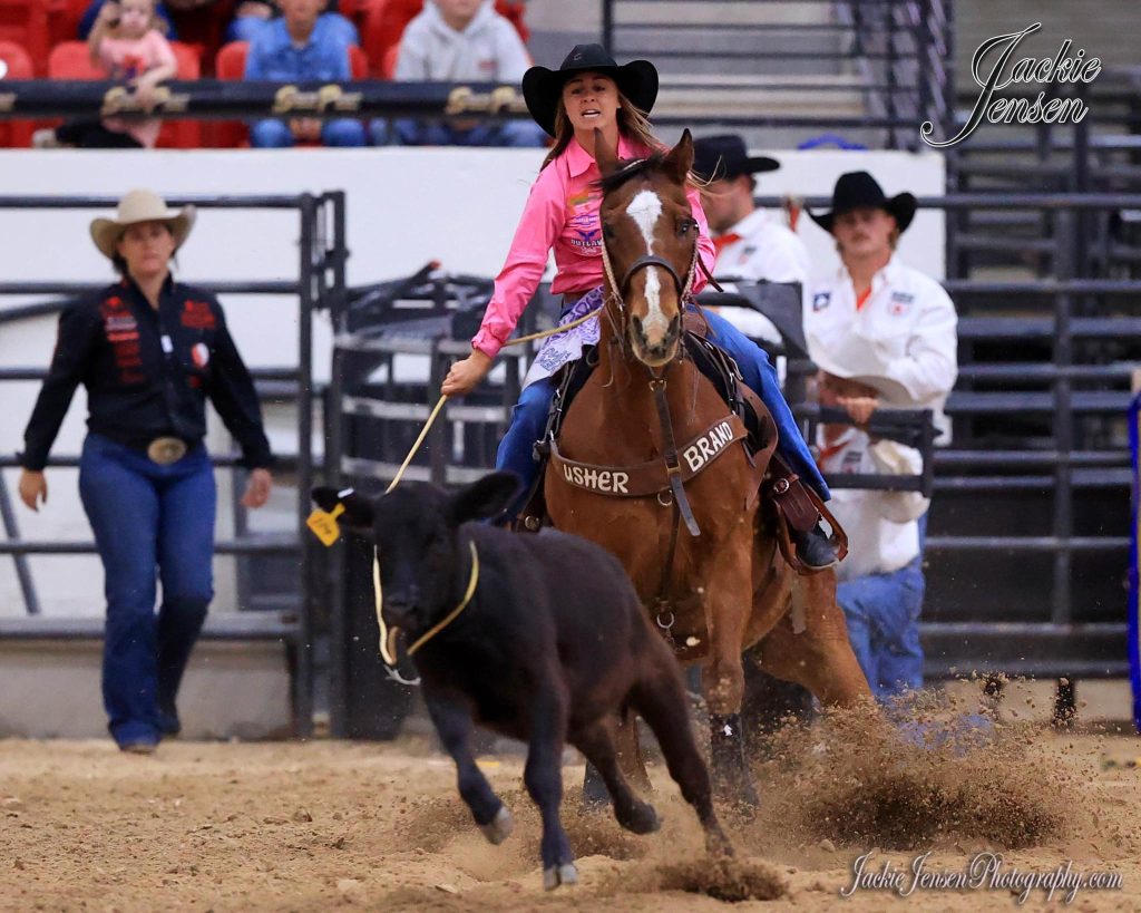 2024 Horse Roundup | Breaking blind: Famed one-eyed rope horse Rolo ...