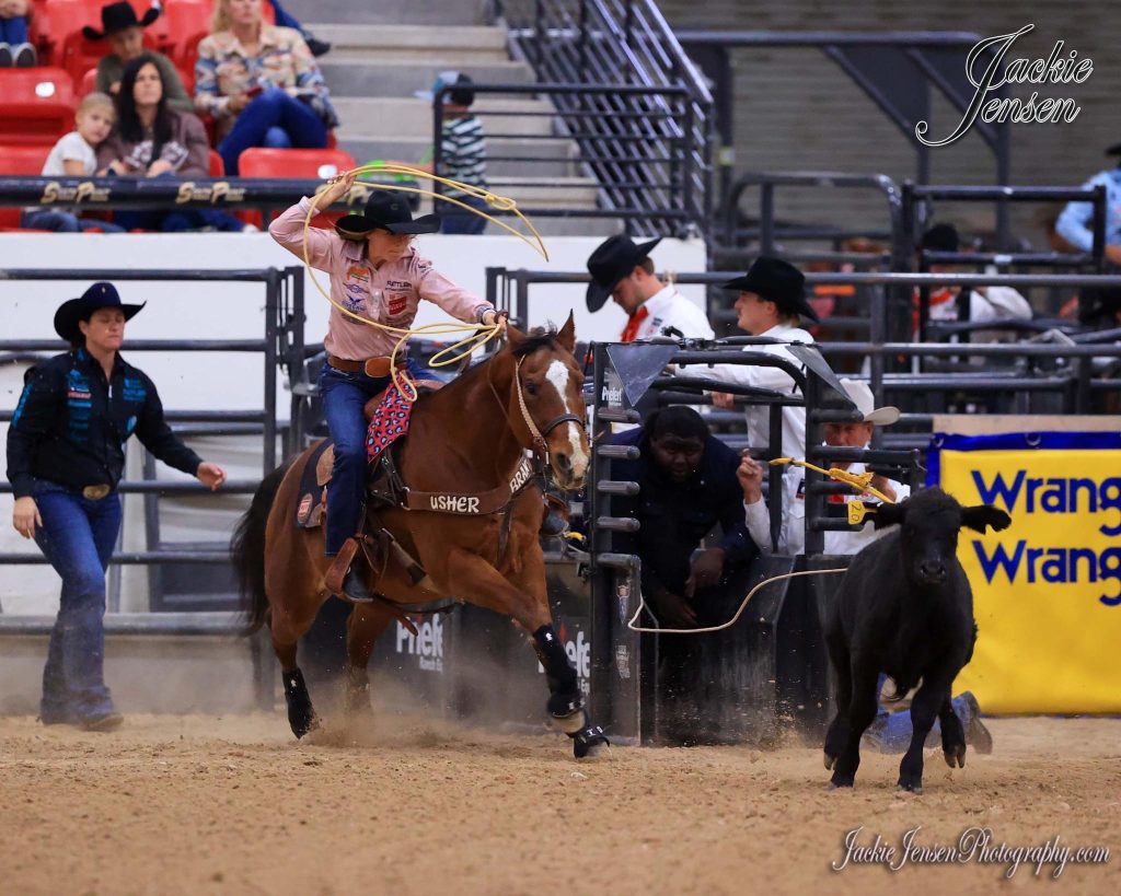 2024 Horse Roundup | Breaking blind: Famed one-eyed rope horse Rolo ...