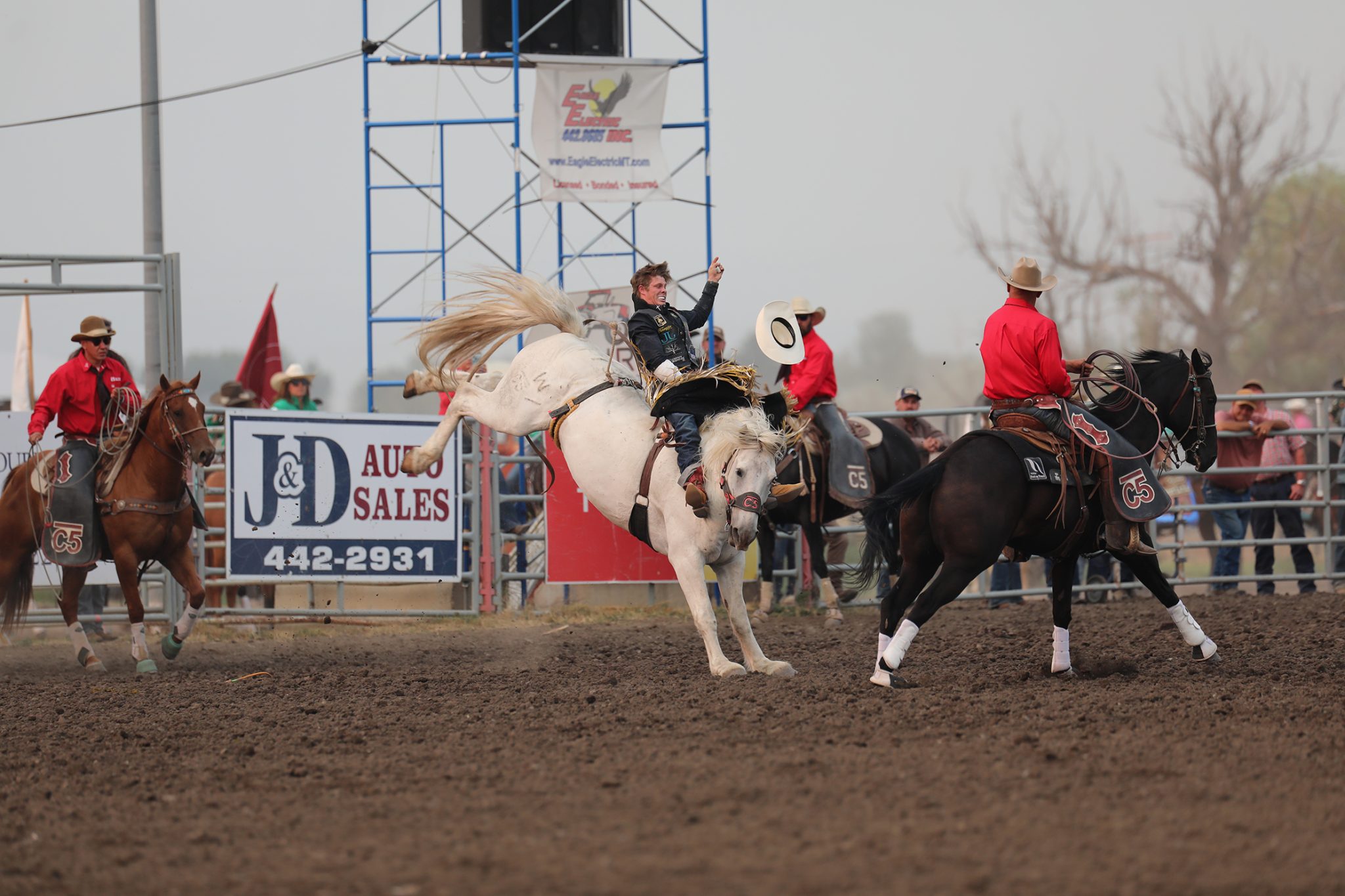 THREE-PEAT: Celebrated bucking horse carries bareback rider to win at ...