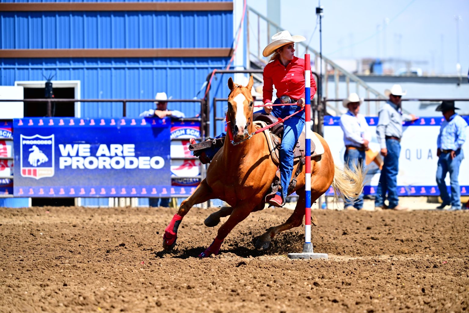 Dakotas earn both National High School Rodeo Association horse of the ...