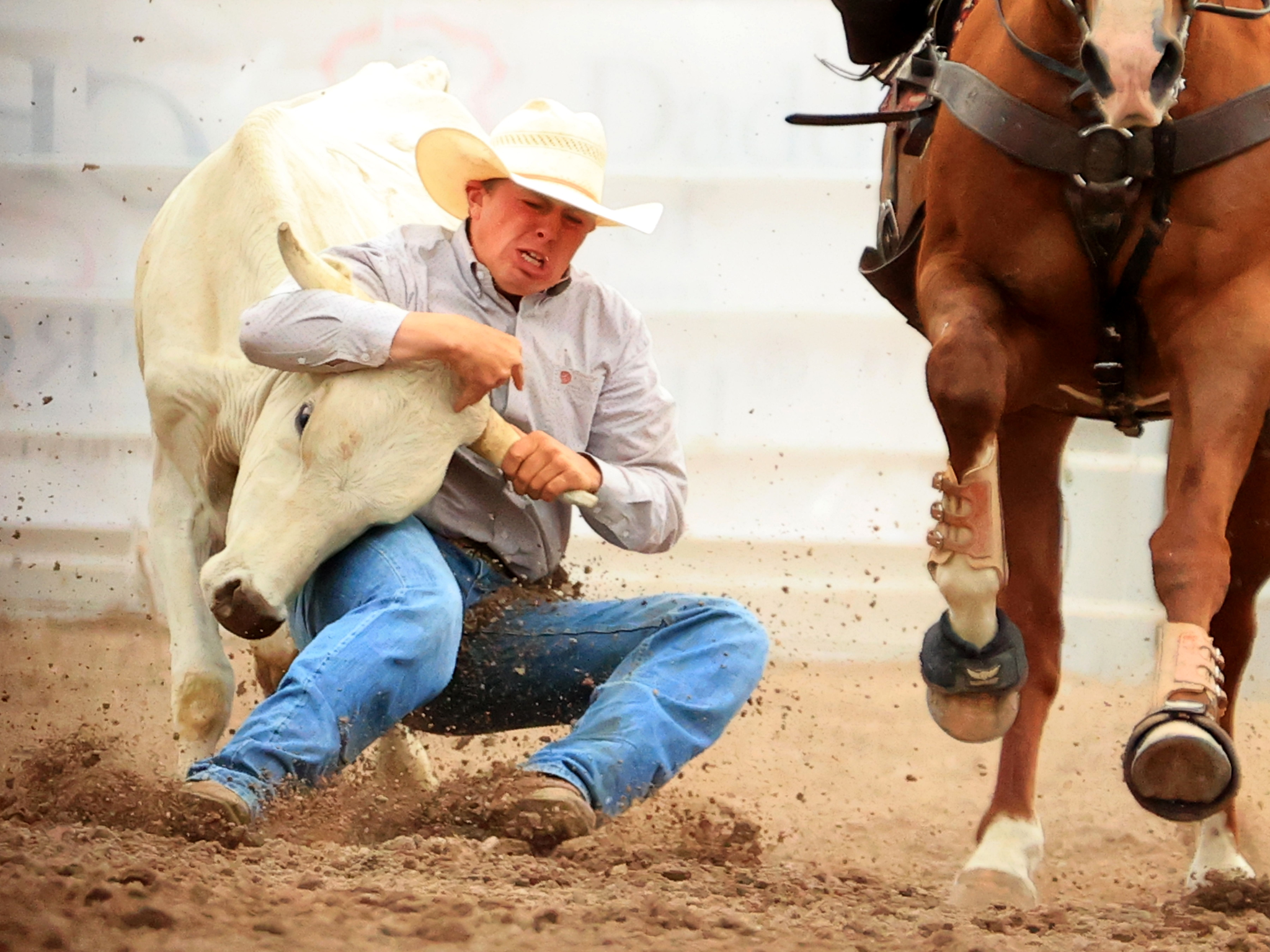 Dakota Cowboys Win Cheyenne: Good, Jorgenson bring saddles back to ...