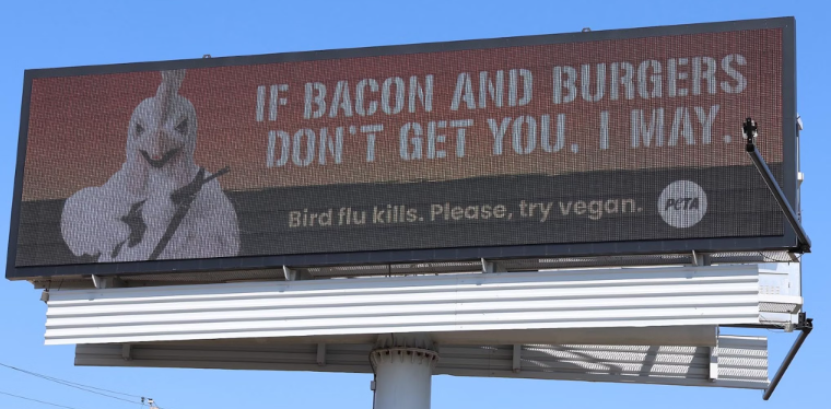 Anti-meat billboard in Wyoming ruffling feathers | TSLN.com