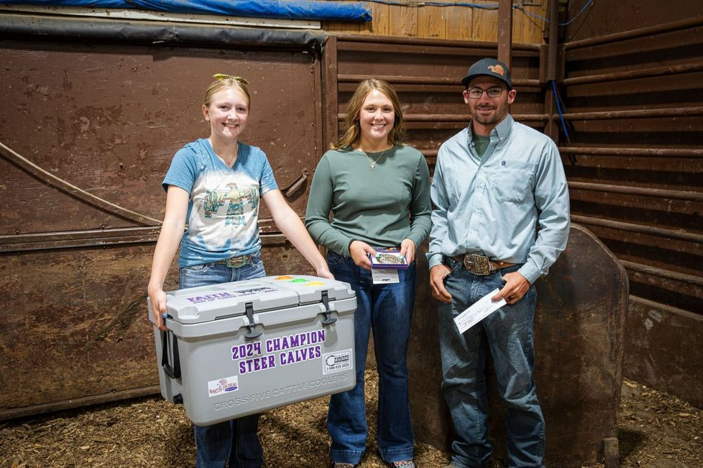 Faith Stock Show Pen of 3 results | TSLN.com