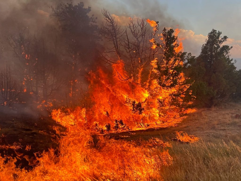 Through the Fire: Wyoming and Montana Ranch Families search for ...
