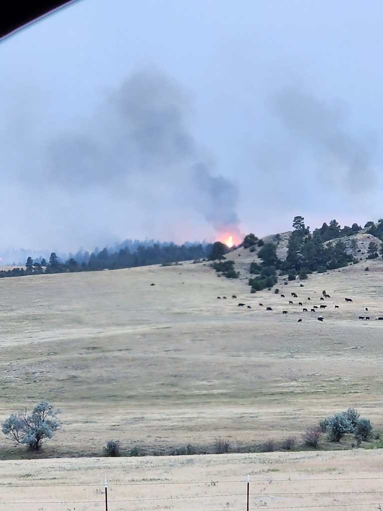 Rebuilding After Remington Fire; Short Draw Fire | TSLN.com