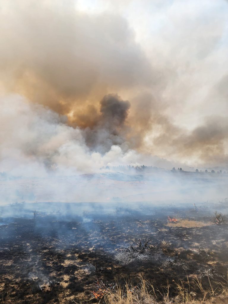 Rebuilding After Remington Fire; Short Draw Fire | TSLN.com