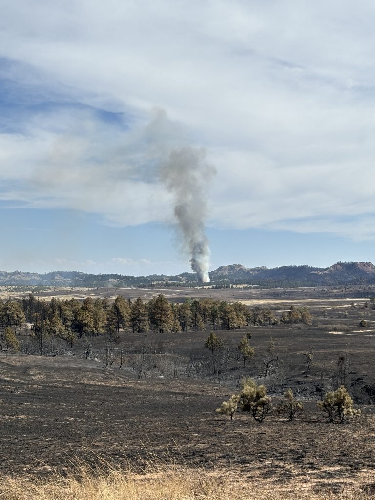 Short Draw Fire Claims Homes, Structures | TSLN.com