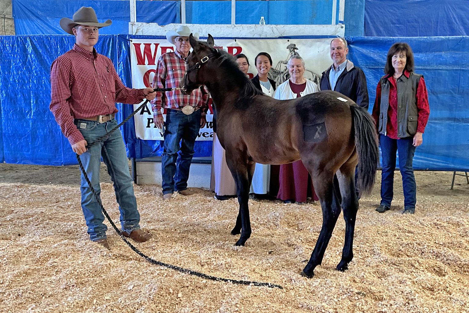 Weaver Quarter Horses “Working Ranch Horses Since 1888” 29th Annual ...