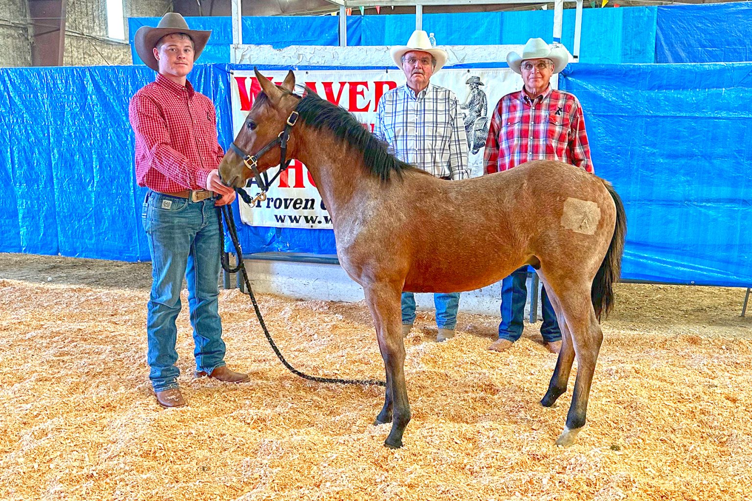 Weaver Quarter Horses “Working Ranch Horses Since 1888” 29th Annual ...