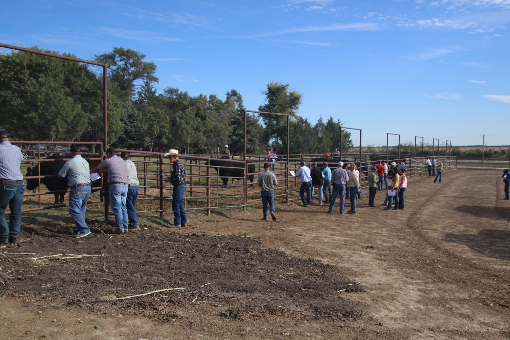 SD Angus members tour Rosebud Angus Association | TSLN.com