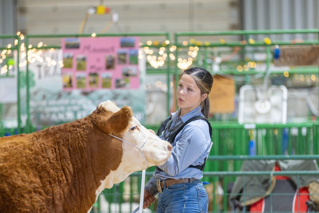 Girl Power: Young ladies find success in and out of show ring | TSLN.com