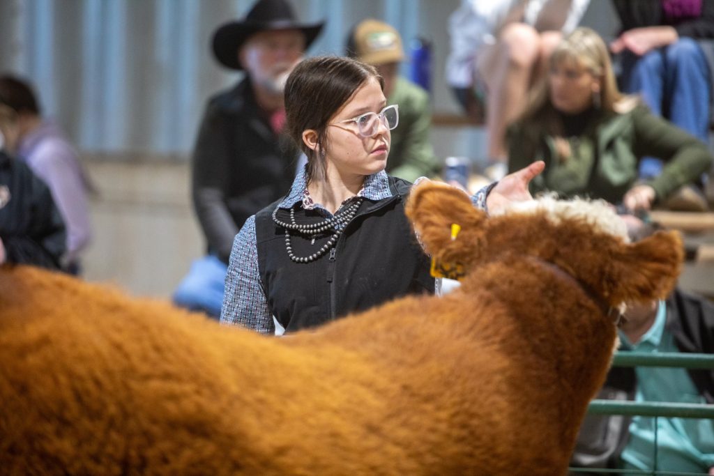 Girl Power: Young ladies find success in and out of show ring | TSLN.com