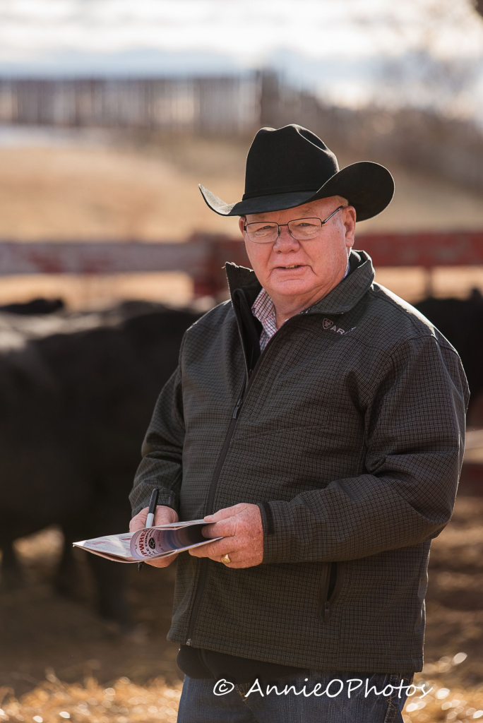 Remembering Bill Pelton, NILE Merit Heifer Reunion | TSLN.com