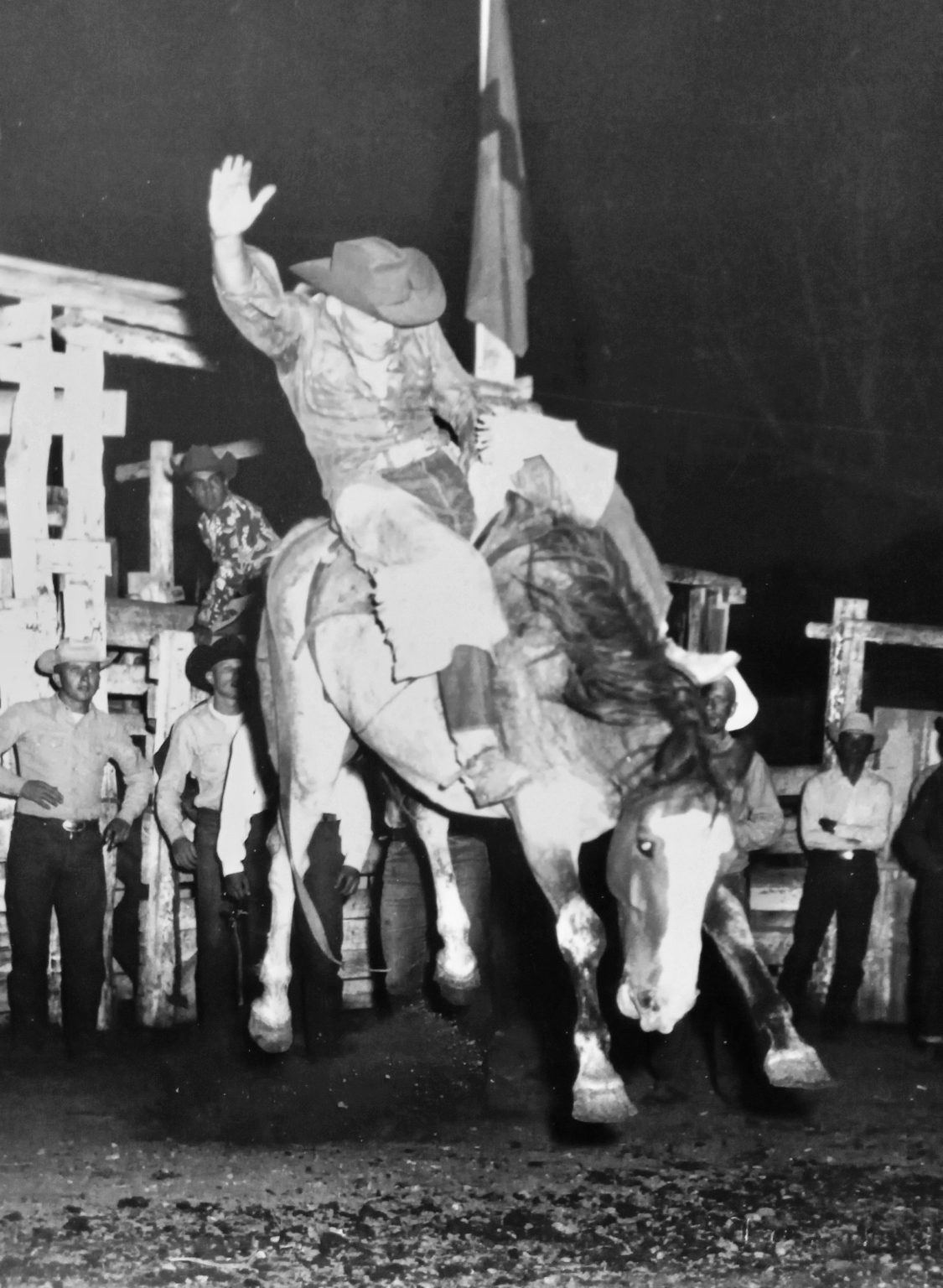 Arena Tracks by Penny Schlagel: Manke | TSLN.com