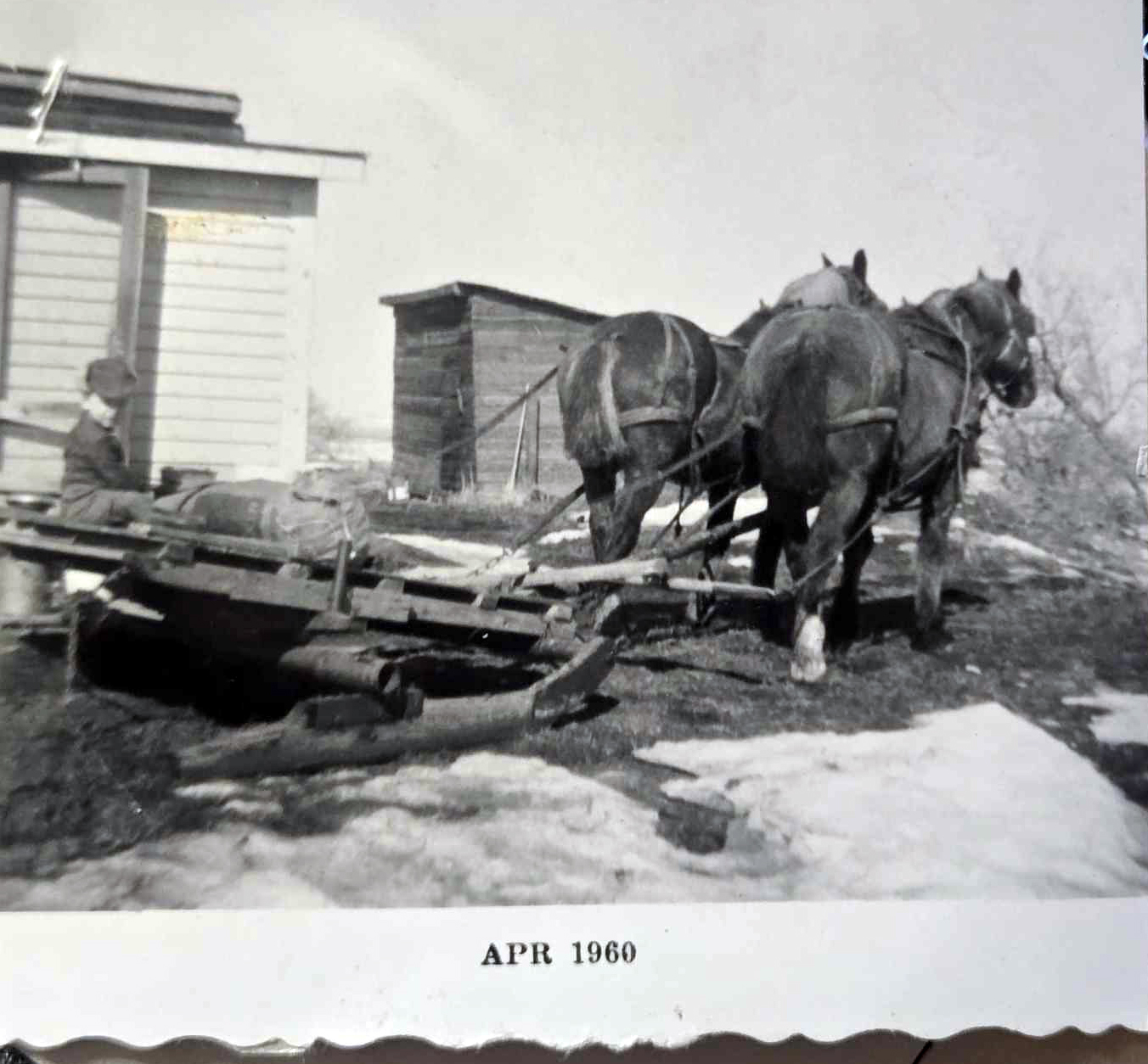 LaBree: The winter of 1964 and 1965 | TSLN.com