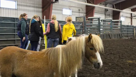 NDSU’s Equine Center in a class of its own | TSLN.com