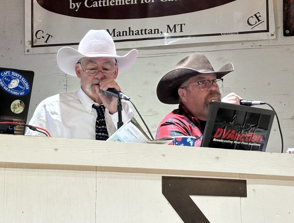 Big Sky Elite Female Sale | TSLN.com