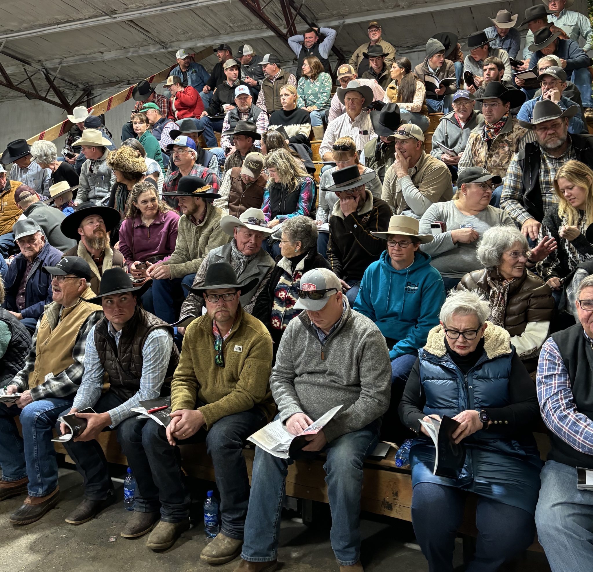 Sitz Angus 59th Annual Fall Bull Sale | TSLN.com