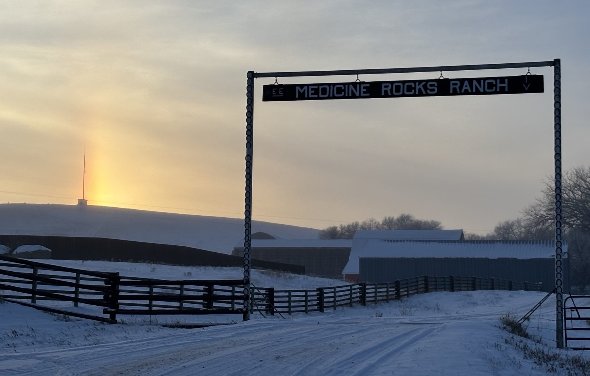 Medicine Rocks Angus Ranch Registered Cowherd Dispersion | TSLN.com