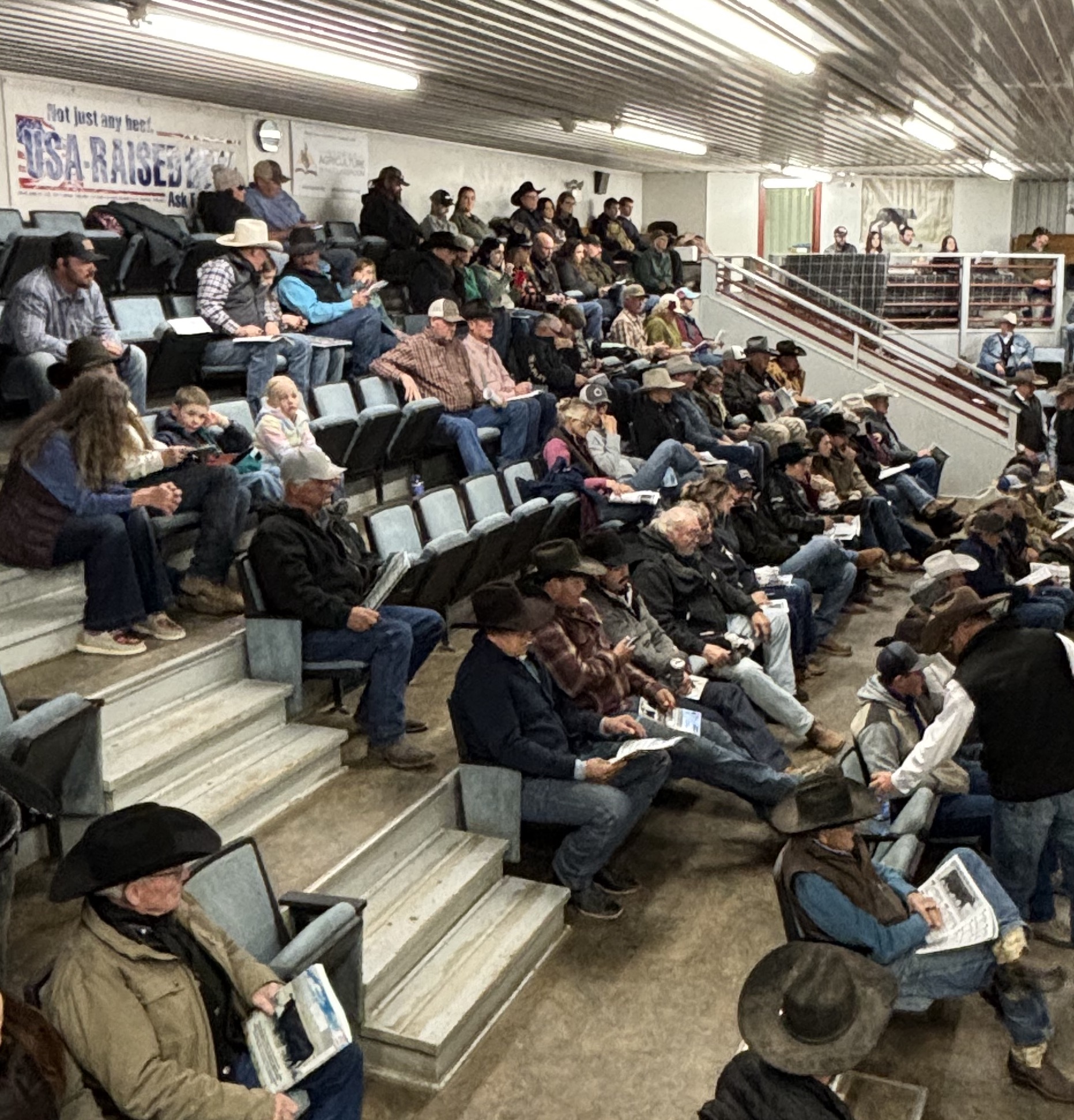 Redland Angus Ranch Bull Sale | TSLN.com