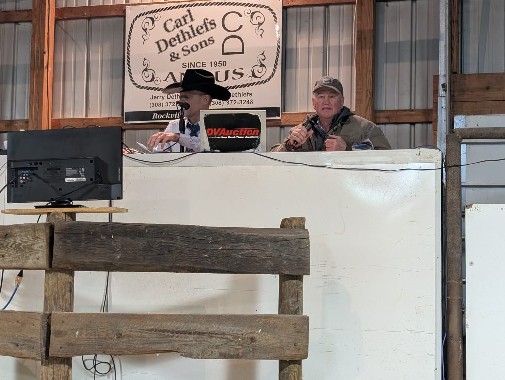 Carl Dethlefs & Sons Angus Annual Production Sale | TSLN.com