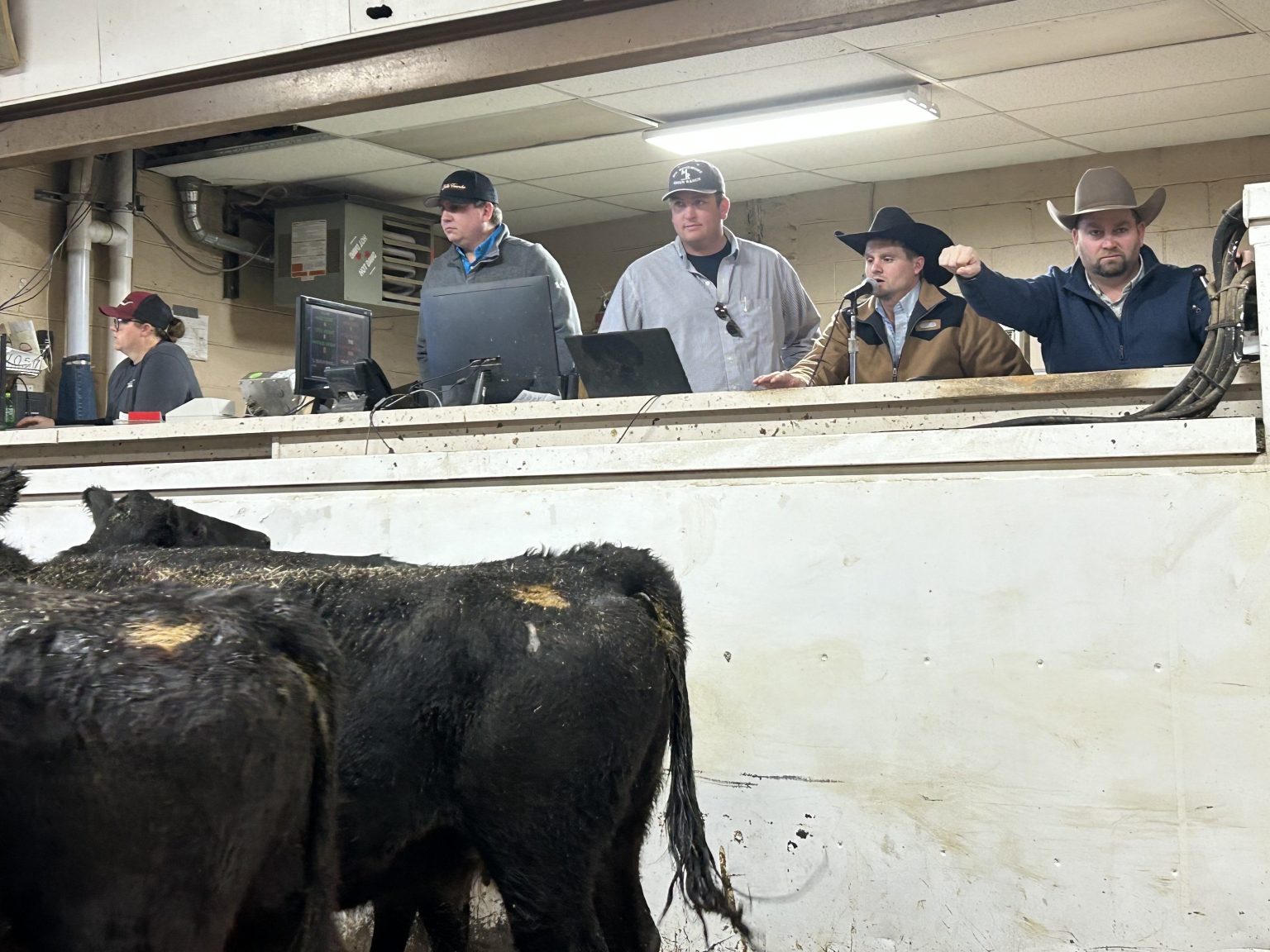 New face at Belle Fourche Livestock: Travis Linch taking over the ...