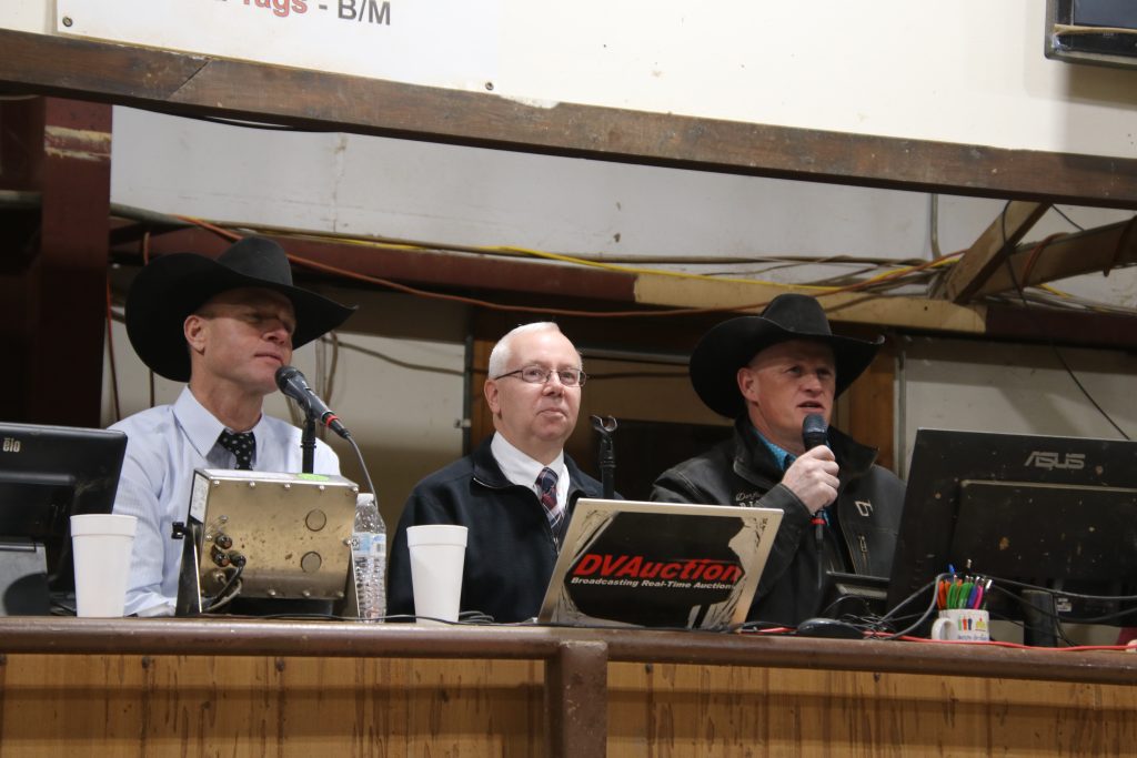 Derflinger’s D Lazy T Ranch Annual Production Sale | TSLN.com