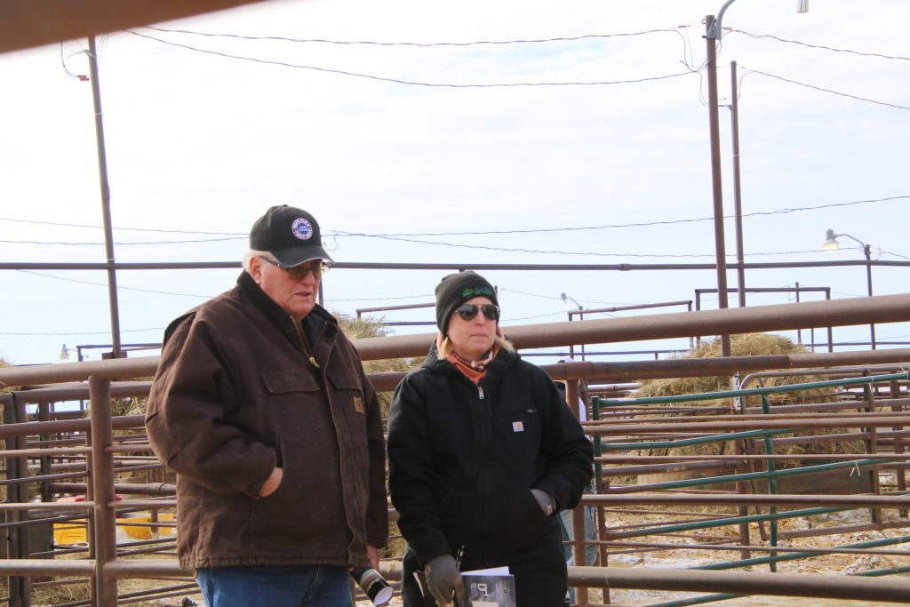 Derflinger’s D Lazy T Ranch Annual Production Sale | TSLN.com