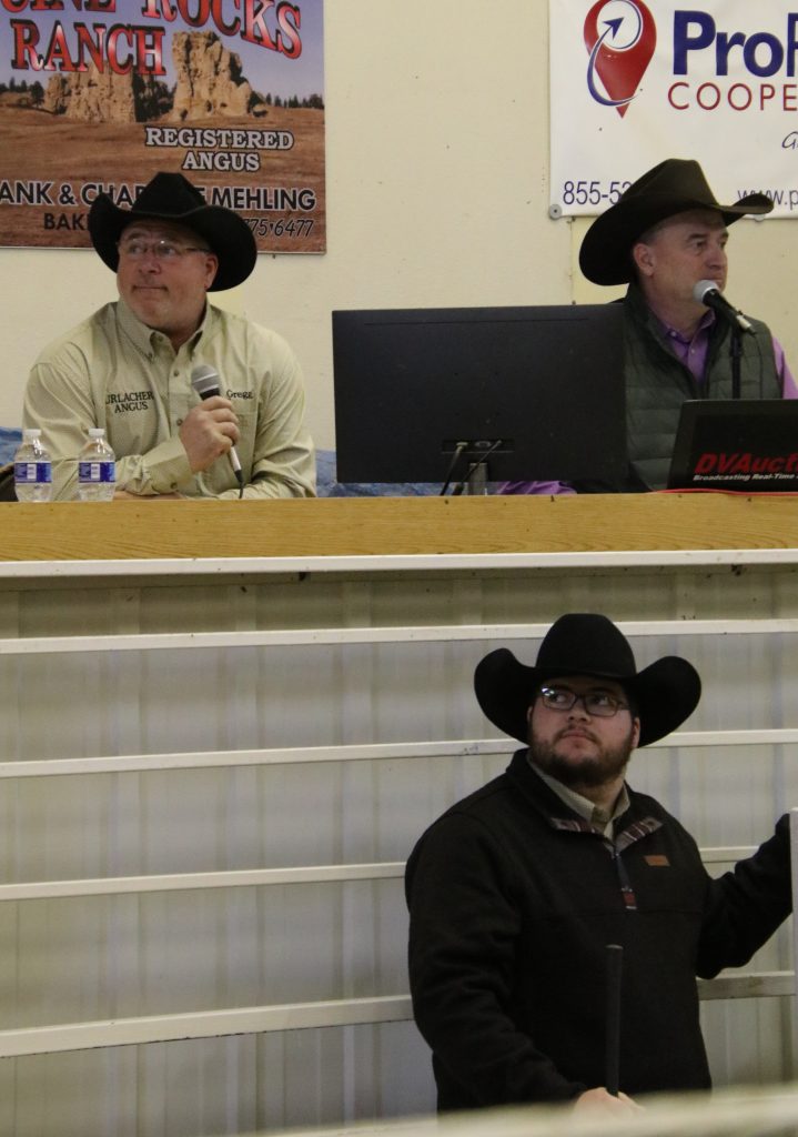 Urlacher Angus Annual Bull Sale | TSLN.com