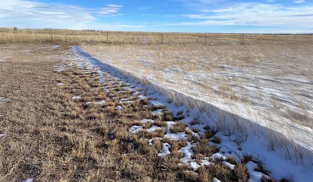 Winter Pasture Report: What’s your plan for spring? | TSLN.com
