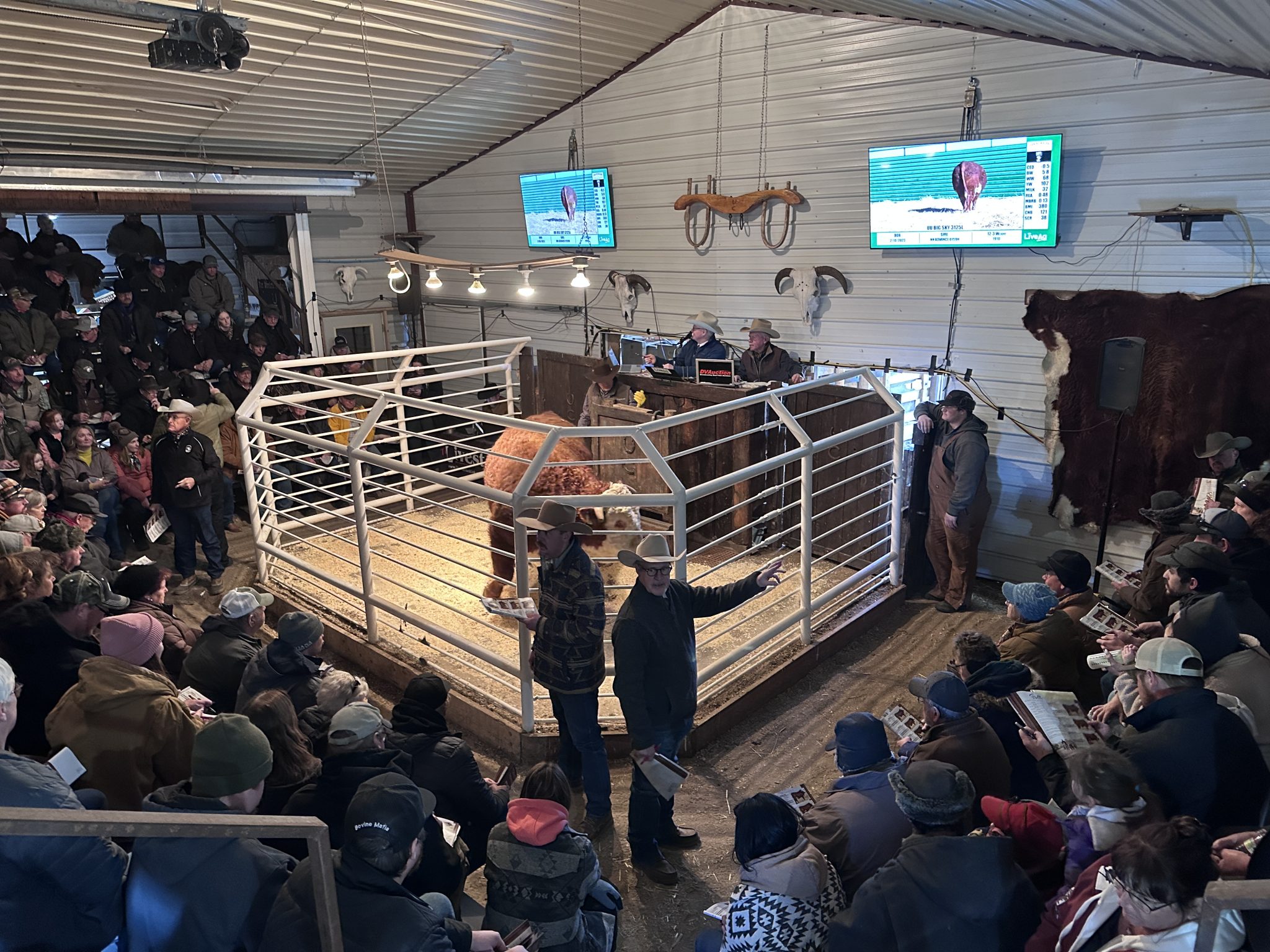 Van Newkirk Herefords Annual Production Sale | TSLN.com