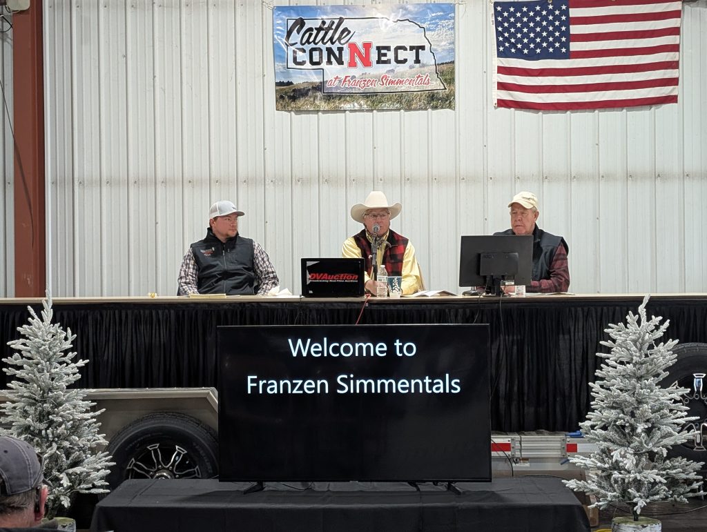 Cattle Connect Production Sale at Franzen Simmentals | TSLN.com