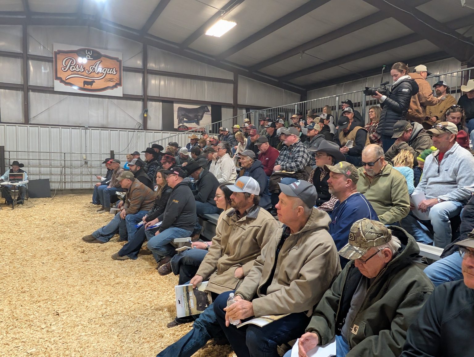 Poss Angus Annual Bull Sale | TSLN.com
