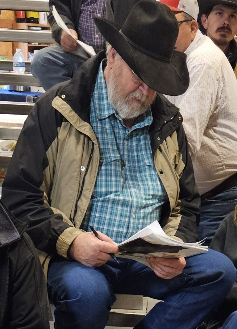 Mohnen Angus Bull Sale | TSLN.com