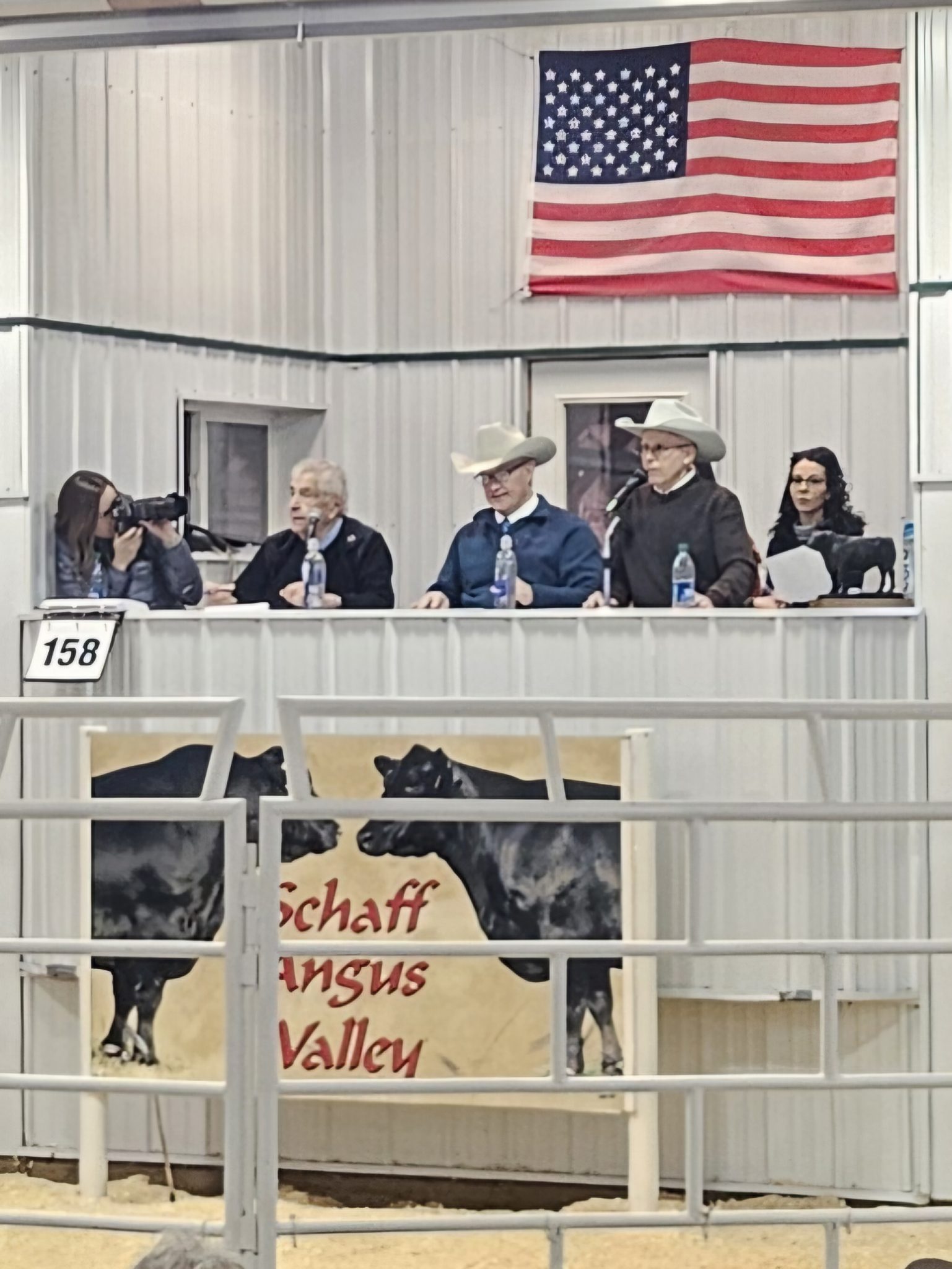 Schaff Angus Valley | TSLN.com