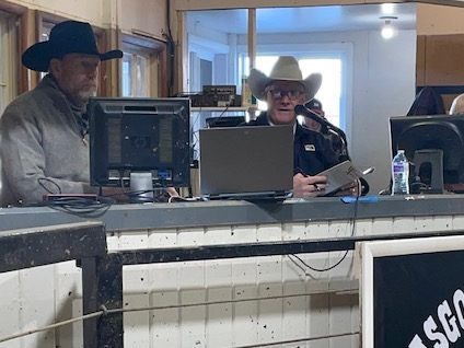 Wittkopp Angus Sale Report | TSLN.com