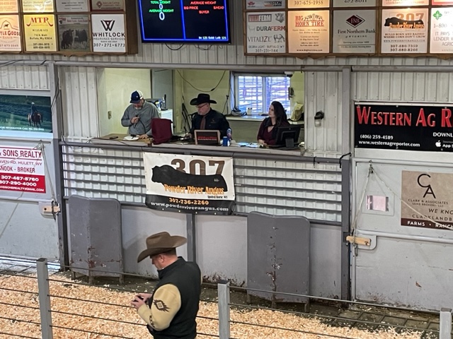 Powder River Angus | TSLN.com