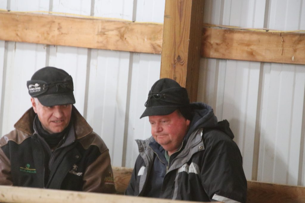 Carmichael Herefords 56th Annual Proven Genetics Sale | TSLN.com