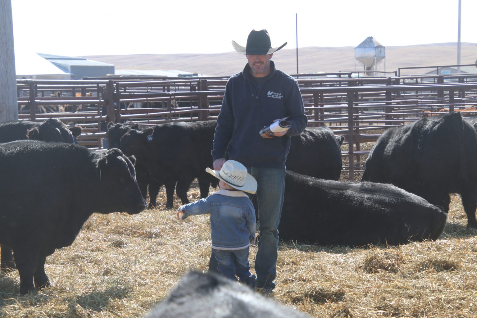 Deep Creek Angus Ranch 26th Annual Bull Sale | TSLN.com