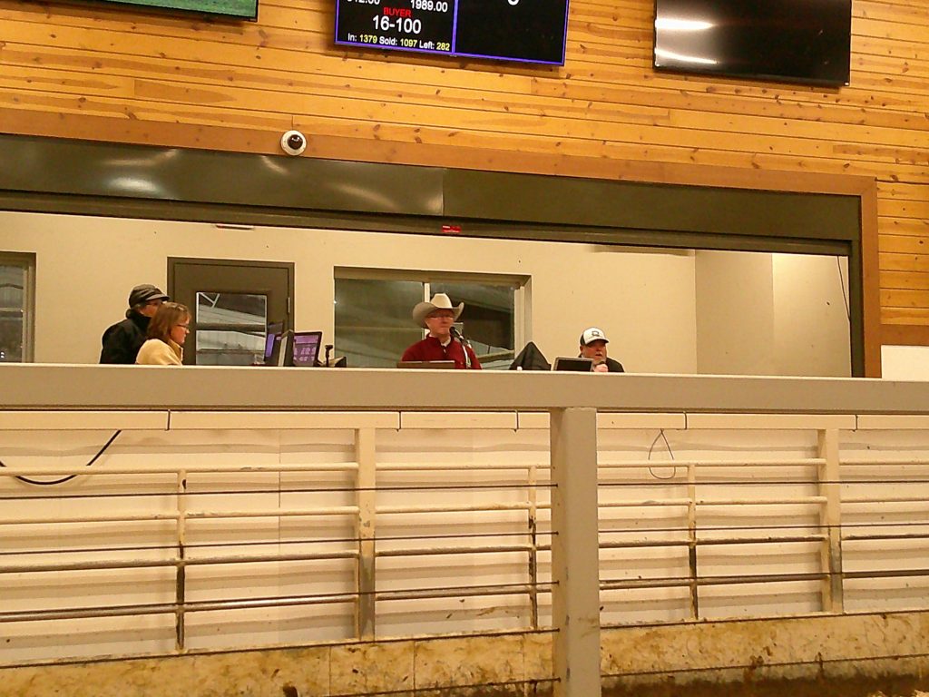 JC Heiken Angus & Sons | TSLN.com