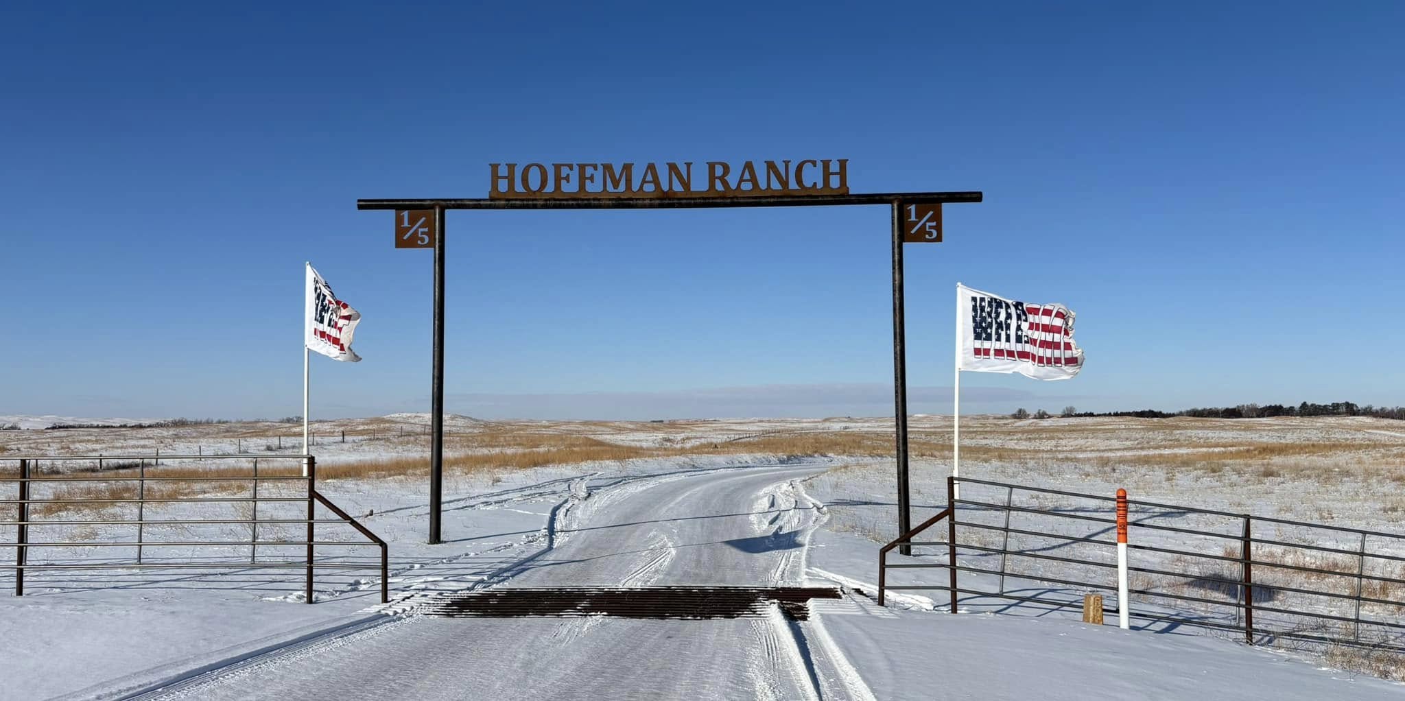 Hoffman Ranch and Stellpflug Cattle Spring Bull Sale | TSLN.com