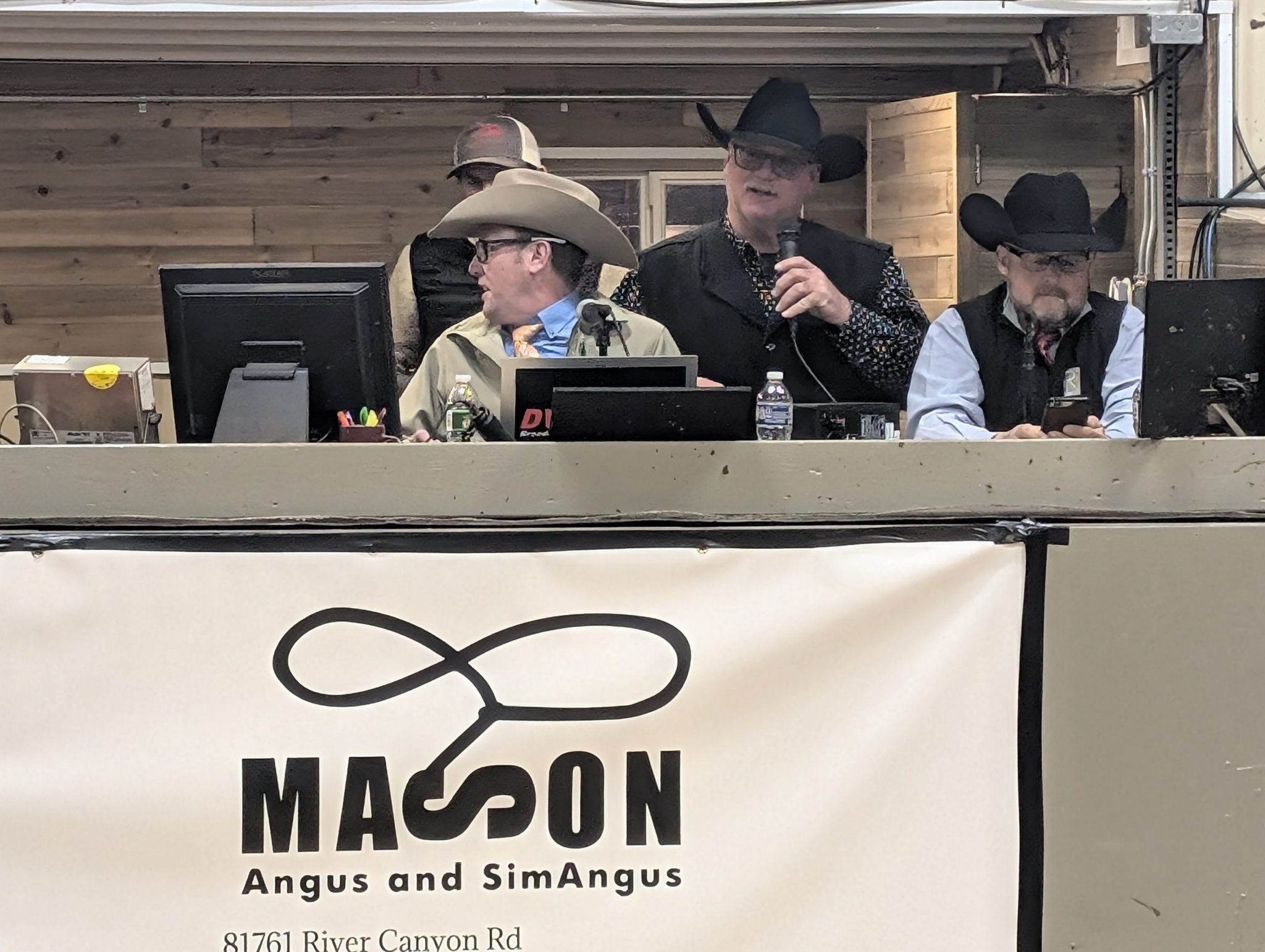 Mason Angus and SimAngus Bull and Heifer Sale | TSLN.com