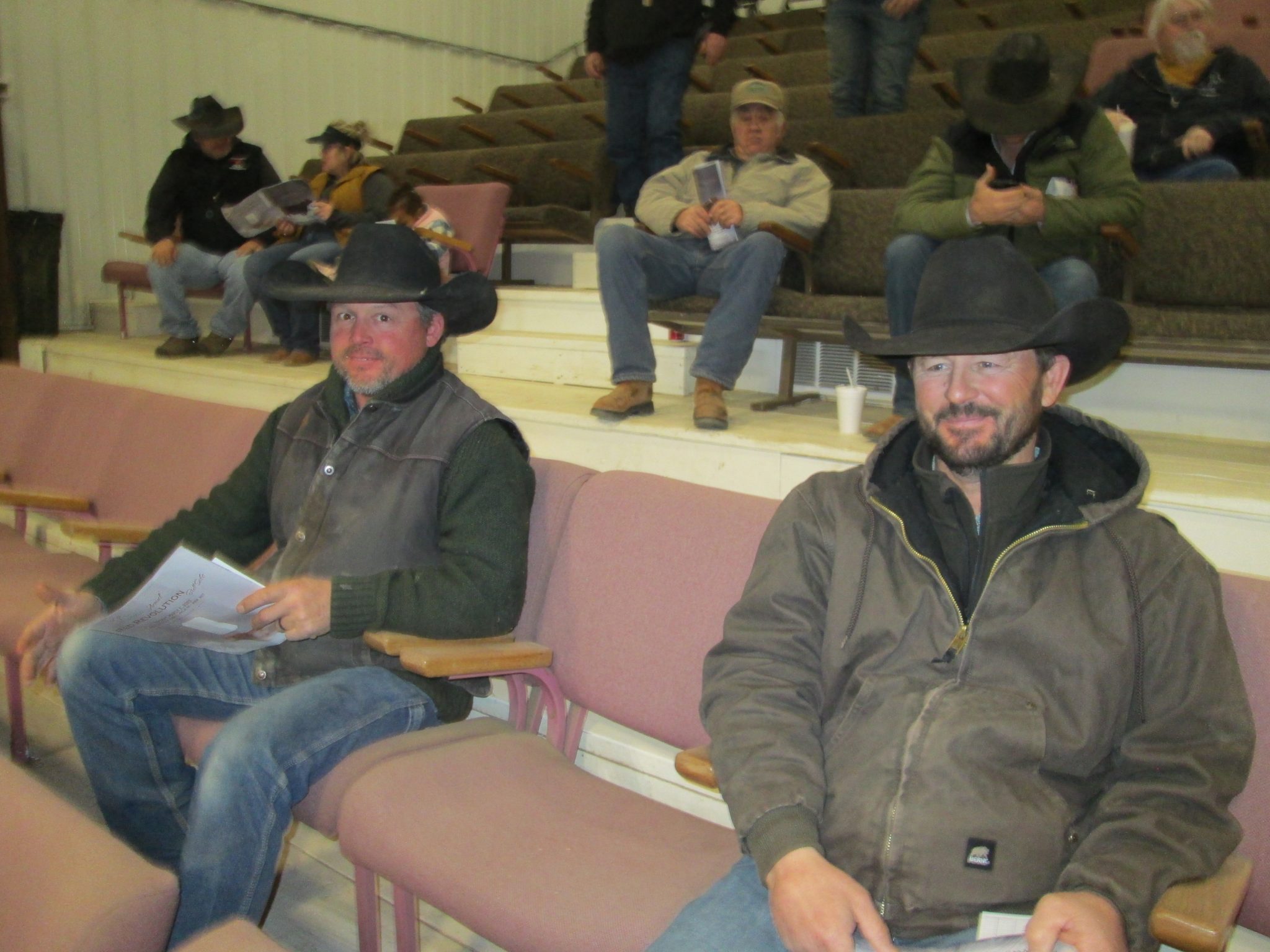 Nelson Red Angus Revolution Annual Bull Sale | TSLN.com