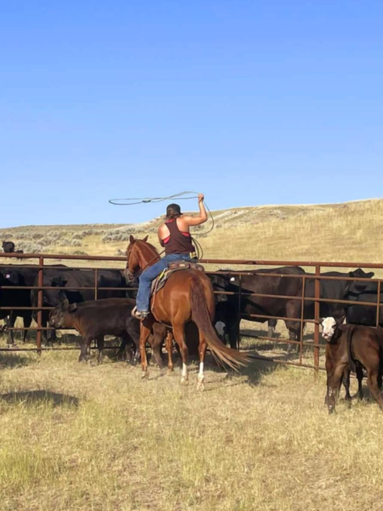 Wyoming: Ten Sleep Ranchers Mentor GrowinG Interns | TSLN.com