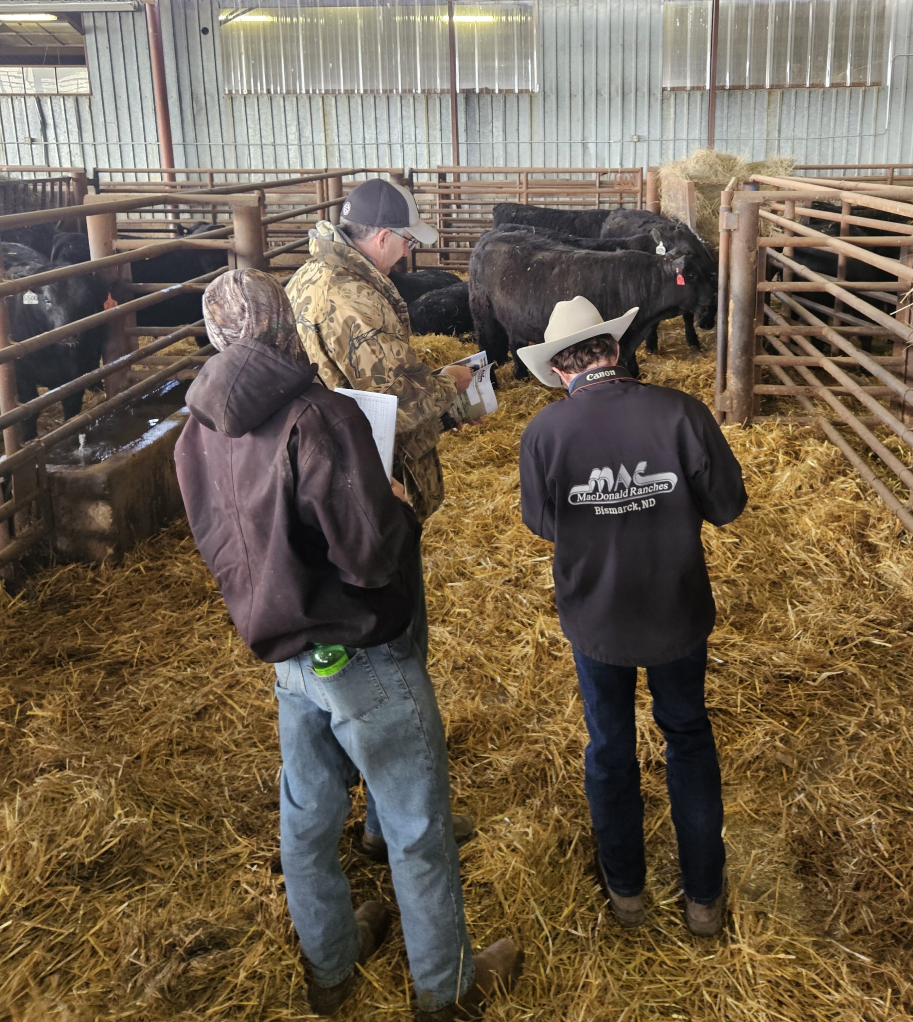 MacDonald Ranches Performance Power 2025 Sale | TSLN.com