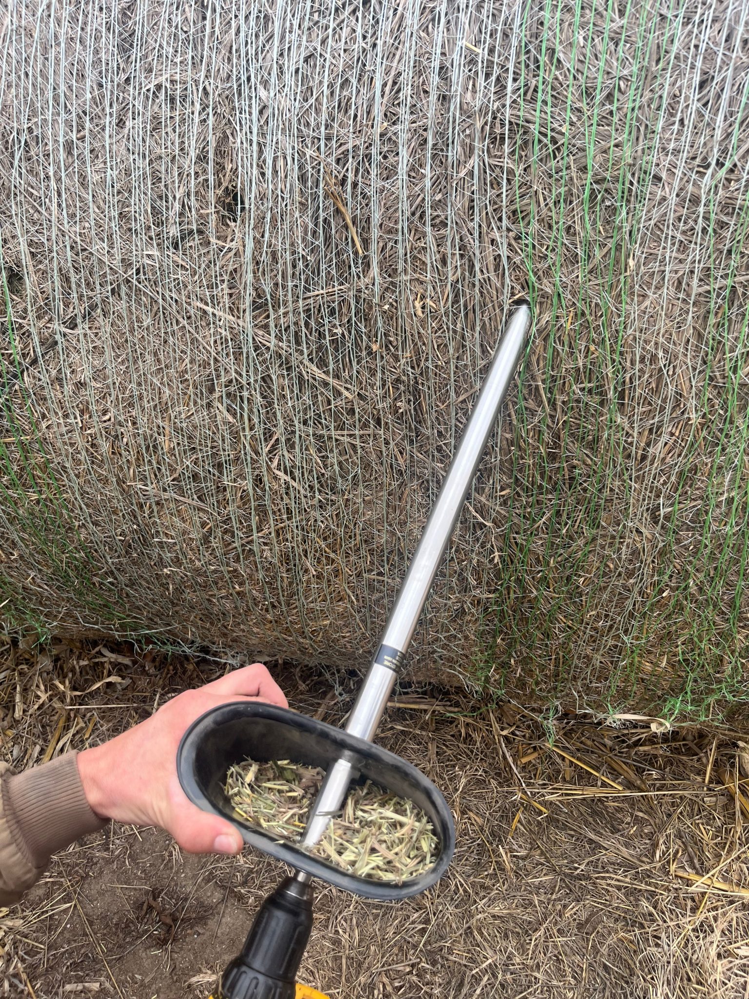 Forage 2025 | Don’t Overlook the Value of Accurate Hay Testing | TSLN.com