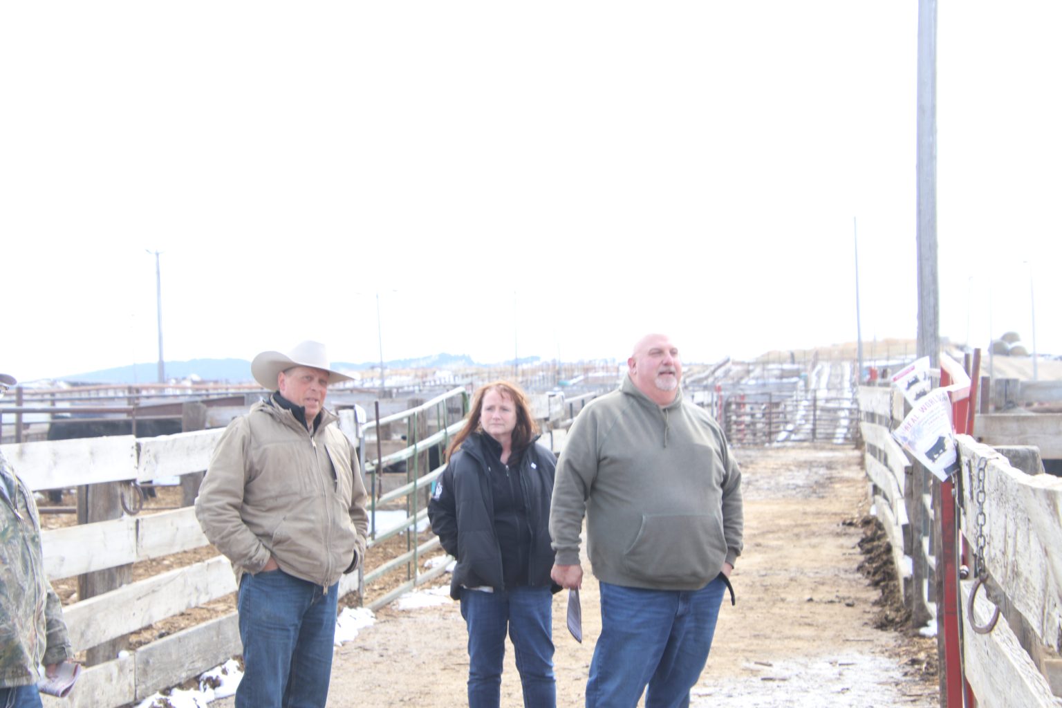 CK Bar Ranch “Real World Genetics” Annual Bull Sale | TSLN.com