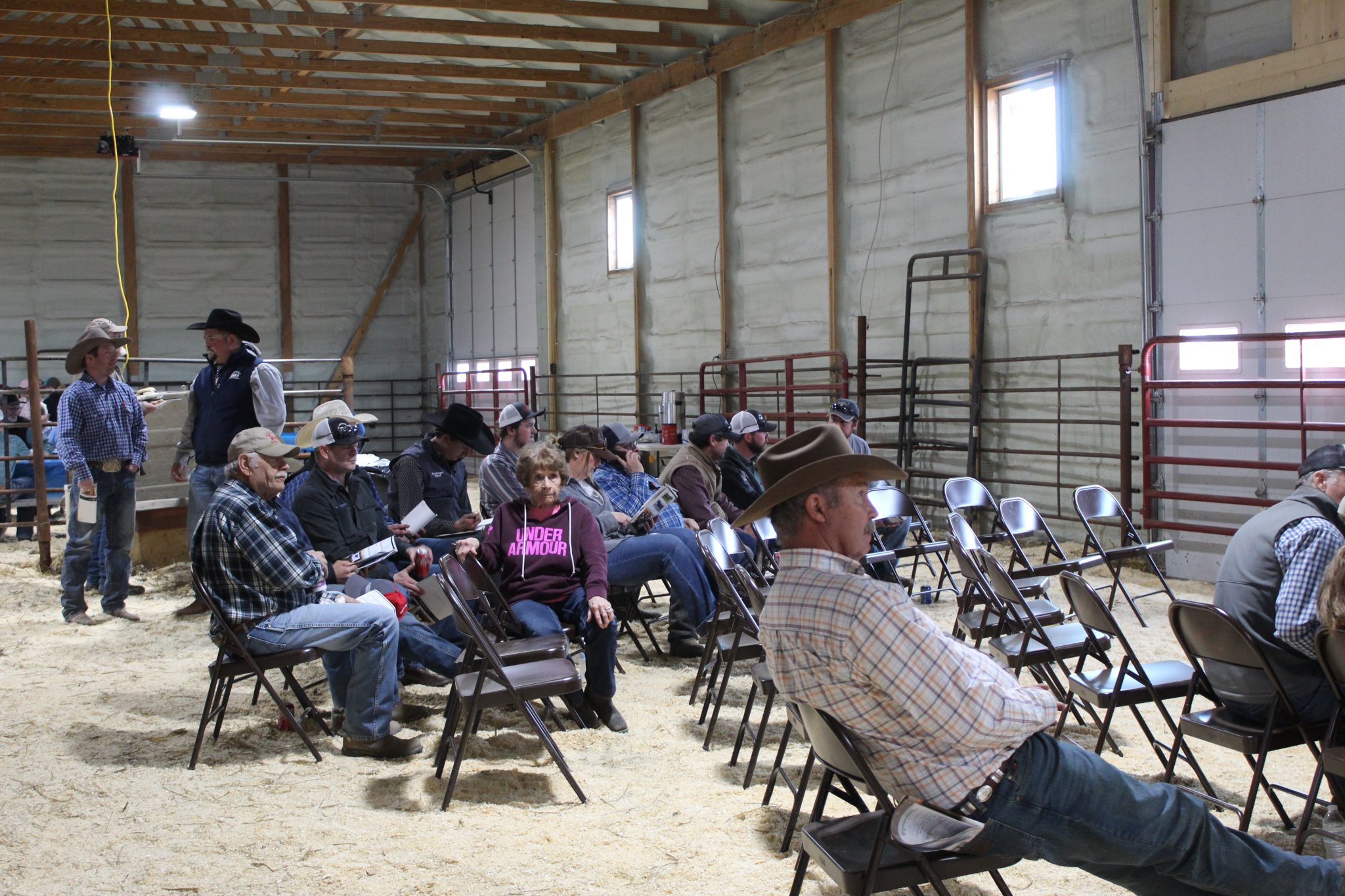 10th Annual Montana Maternal Production Sale, Open 8 Genetics | TSLN.com